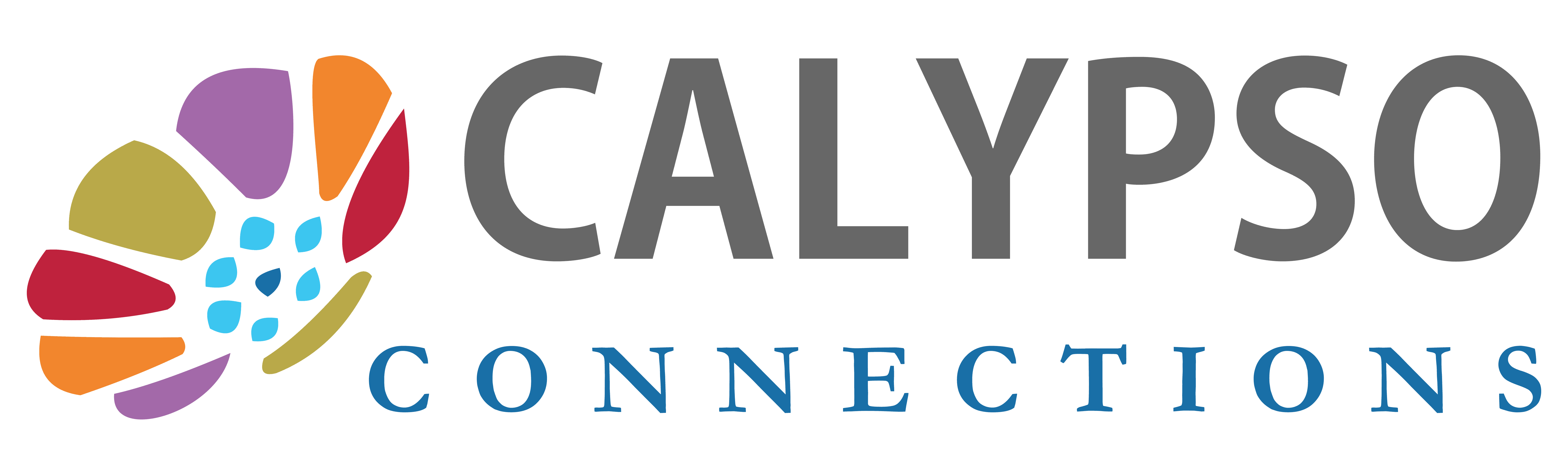 Calypso Technology Logo